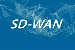 2025年SDWAN厂商排名，SDWAN跨境专线哪个好？ - 元增长SDWAN